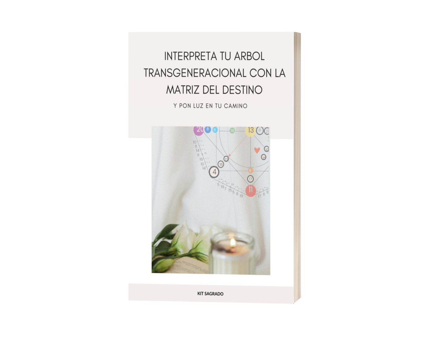 Cómo tu Linaje Familiar Influencia tu Felicidad - Kit Sagrado